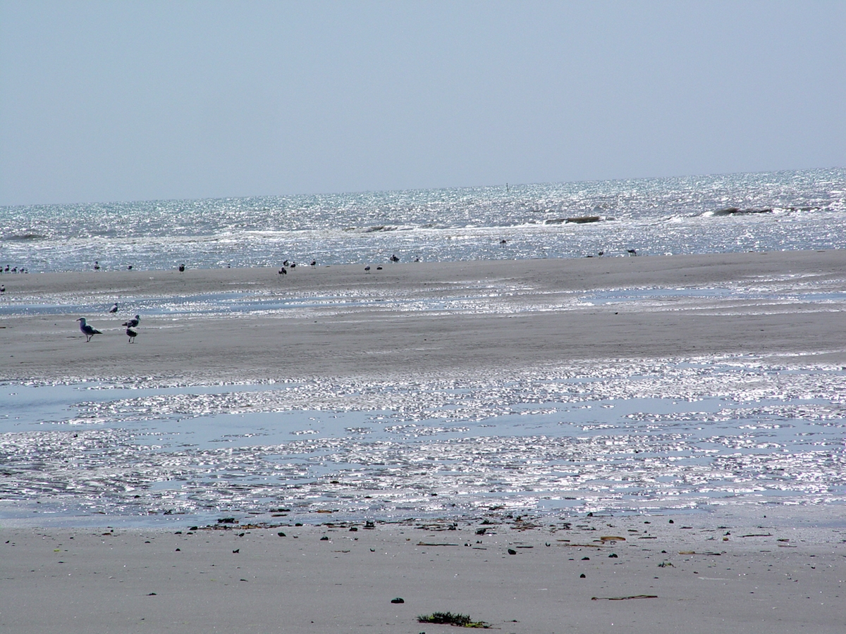 La plage | Fort-Mahon-Plage