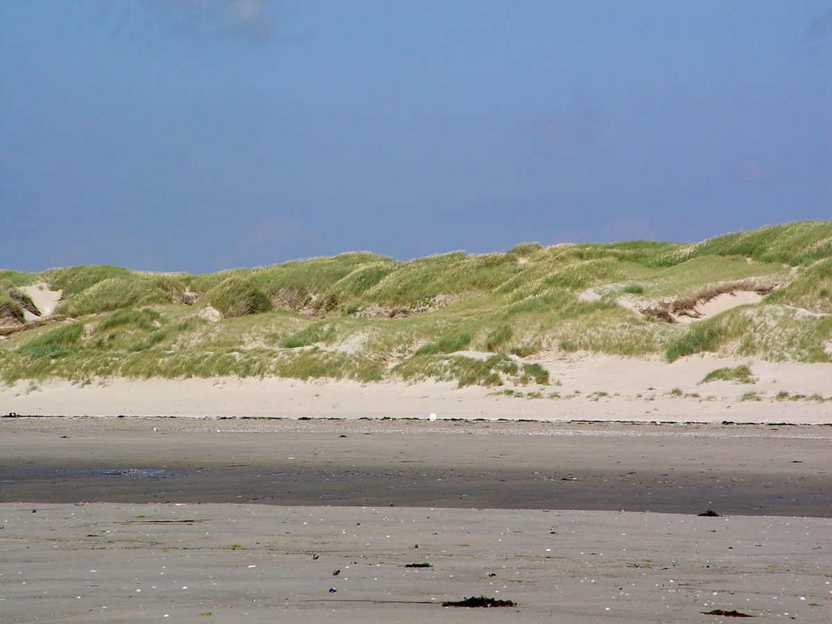 La plage | Fort-Mahon-Plage
