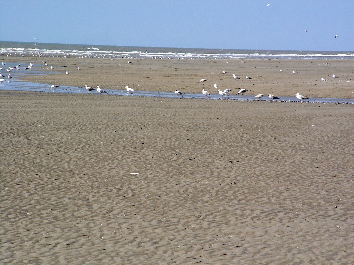 La plage | Fort-Mahon-Plage